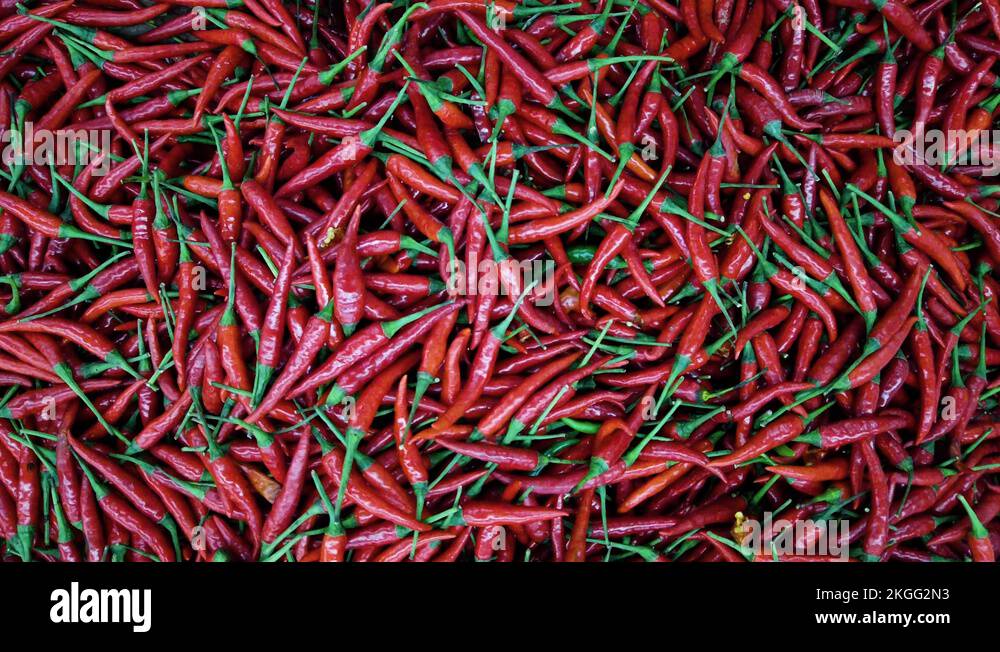 Red chillies Stock Videos & Footage - HD and 4K Video Clips - Alamy