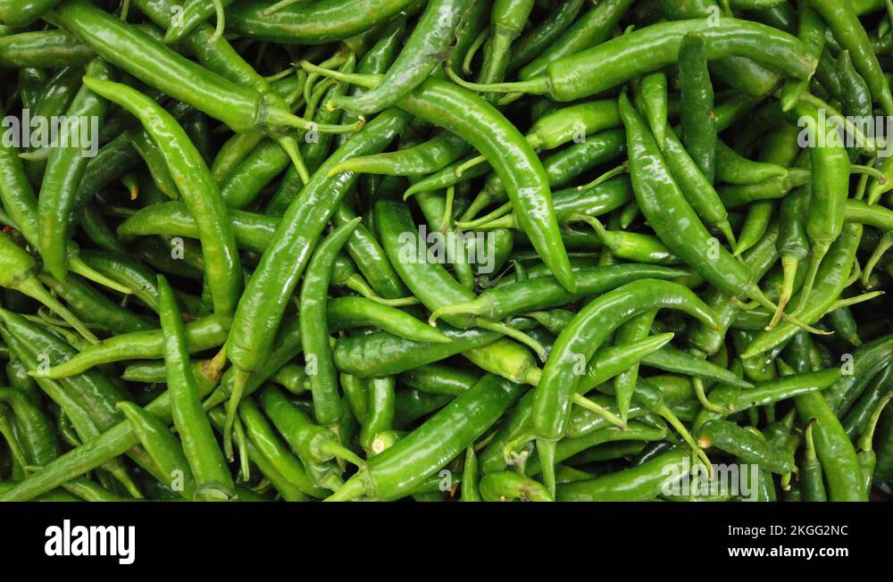 Indian chilli Stock Videos & Footage - HD and 4K Video Clips - Alamy
