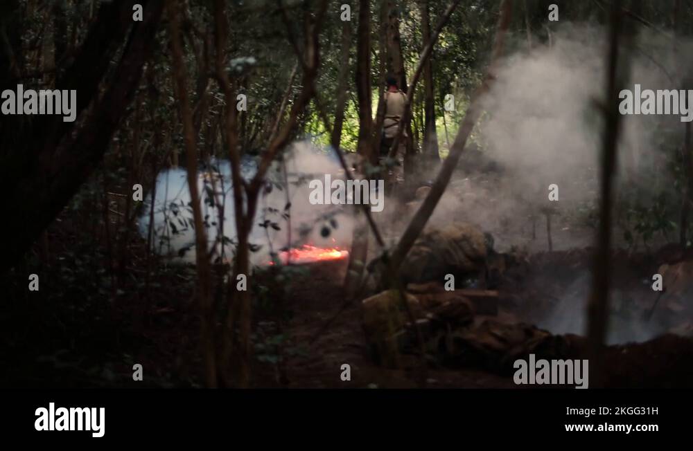 Explosion cartridge Stock Videos & Footage - HD and 4K Video Clips - Alamy