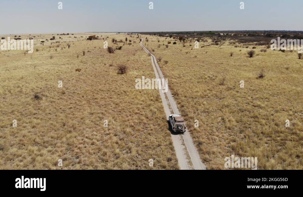 4x4 offroad vehicle driving through wild savannah of Botswana Kalahari ...