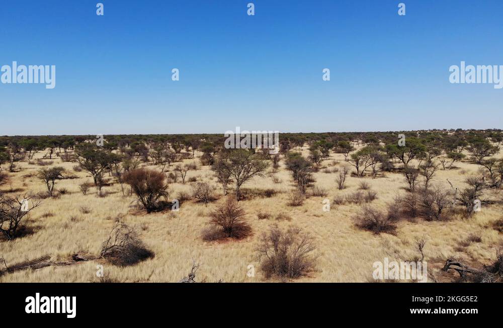 Kalahari desert botswana aerial Stock Videos & Footage - HD and 4K ...
