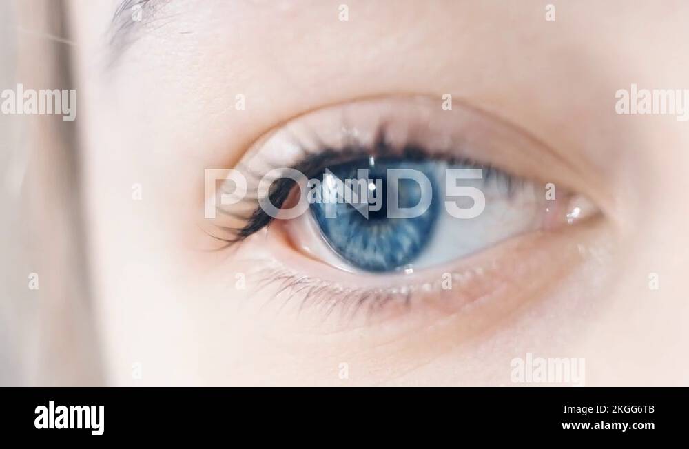 Looking and blinking blue eye 4k Stock Video Footage - Alamy