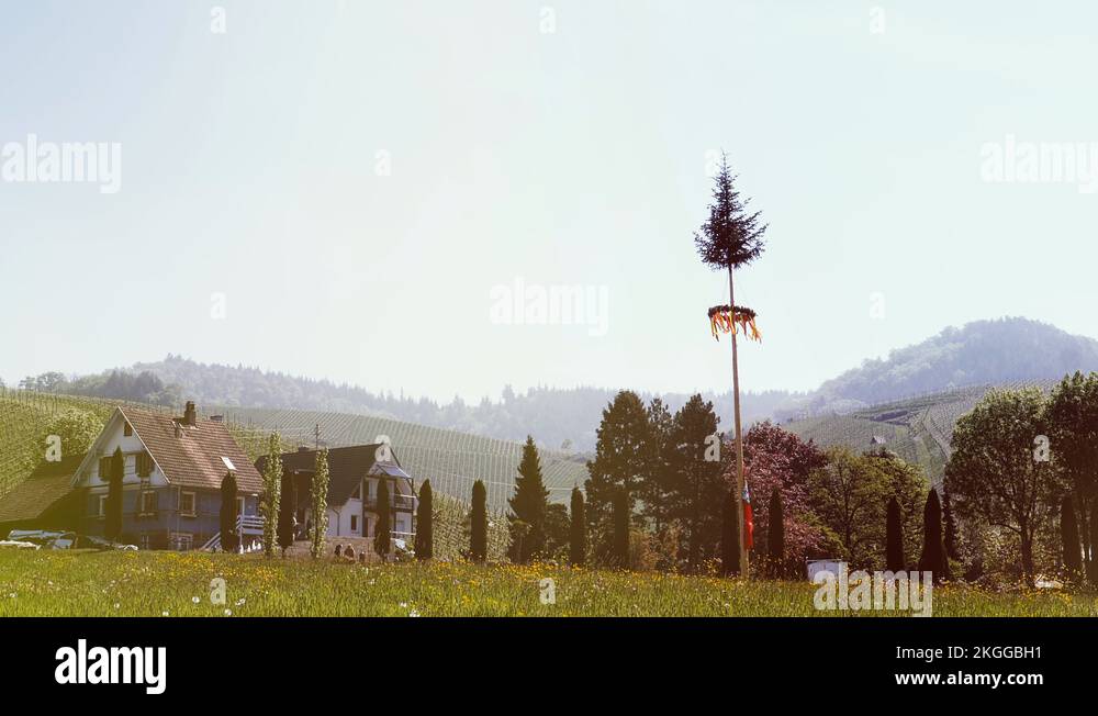 Midsummer in germany Stock Videos & Footage - HD and 4K Video Clips - Alamy