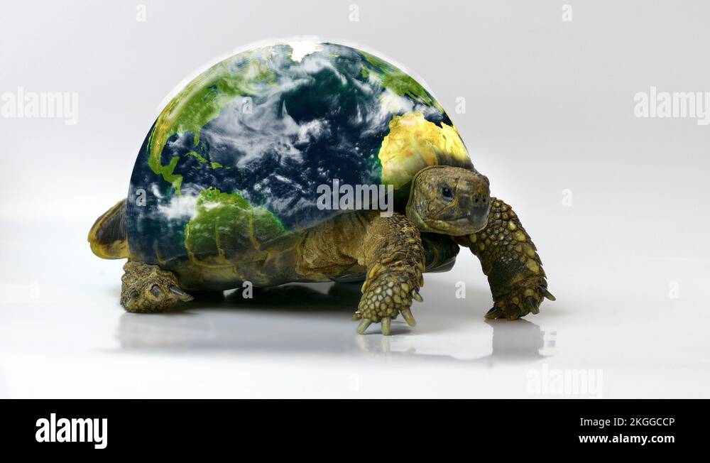 Flat earth society Stock Videos & Footage - HD and 4K Video Clips - Alamy