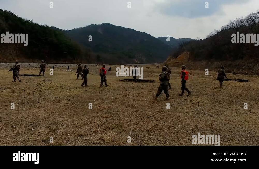 Attack simulation Stock Videos & Footage - HD and 4K Video Clips - Alamy