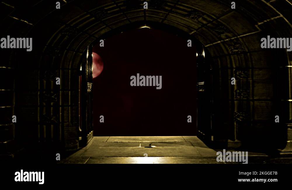 Open all doors Stock Videos & Footage - HD and 4K Video Clips - Alamy