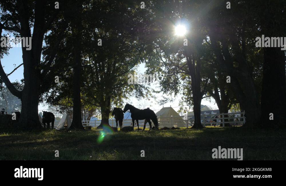 Army camp encampment Stock Videos & Footage - HD and 4K Video Clips - Alamy
