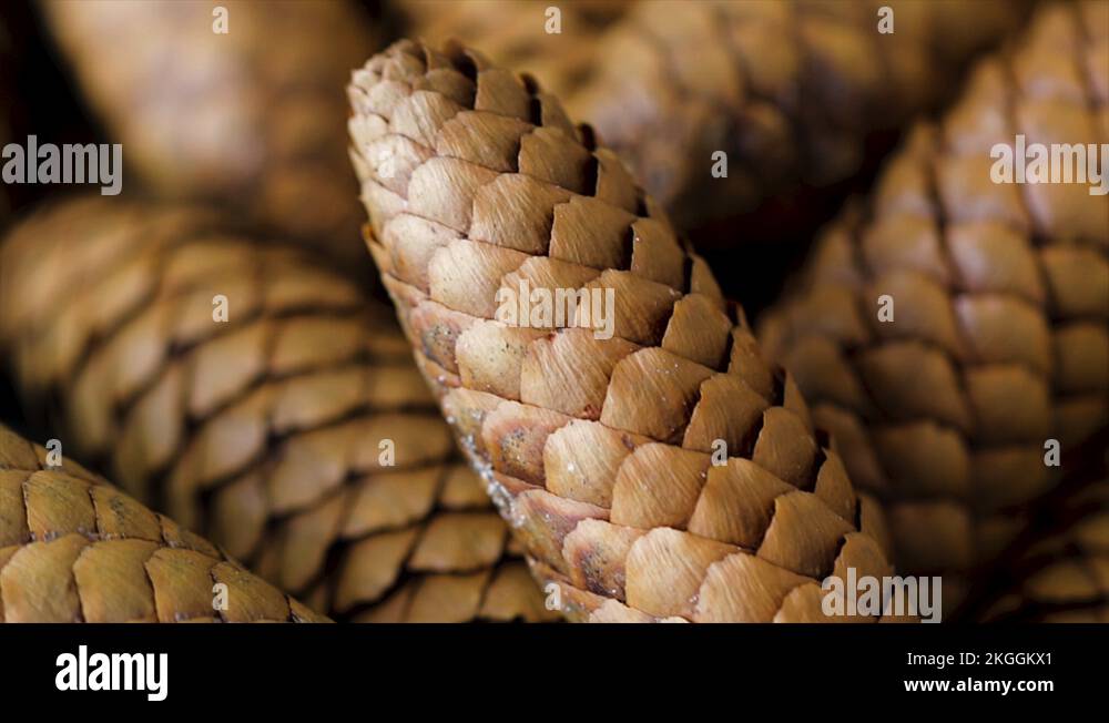 Cone structure Stock Videos & Footage - HD and 4K Video Clips - Alamy