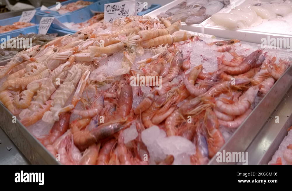 Chilled seafood Stock Videos & Footage - HD and 4K Video Clips - Alamy