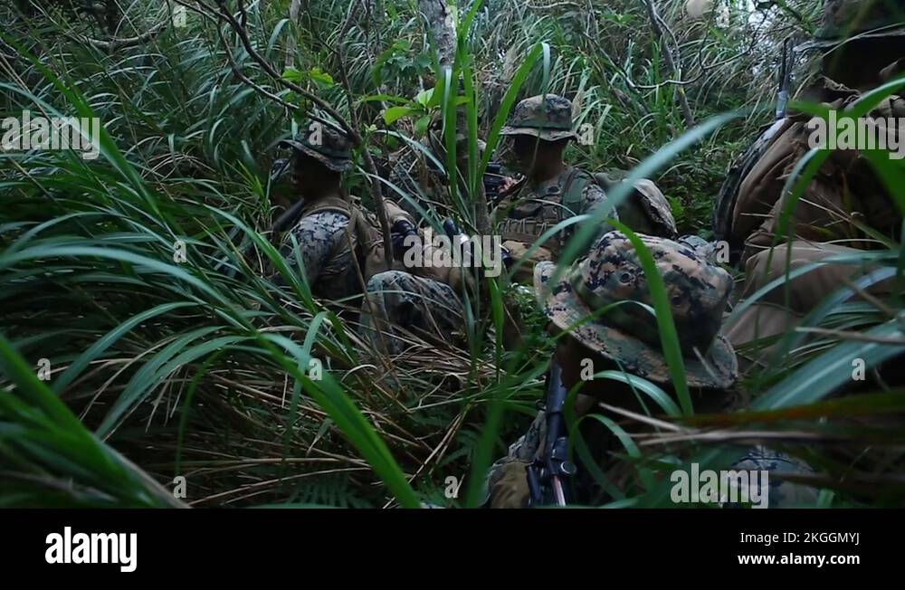 Ambush Stock Videos & Footage - HD and 4K Video Clips - Alamy