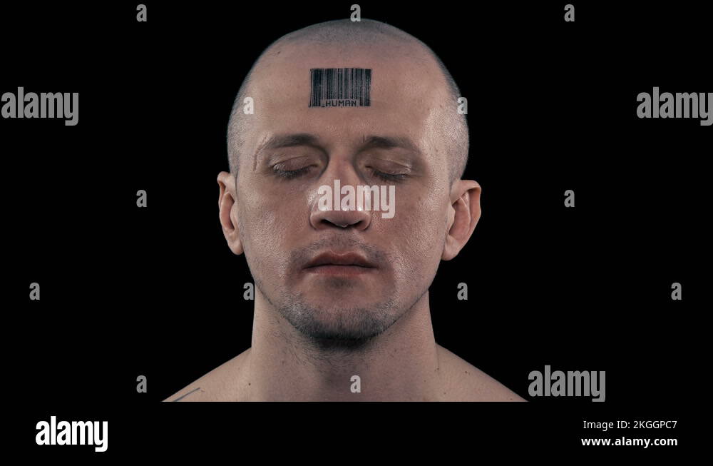 Barcode on stamp Stock Videos & Footage - HD and 4K Video Clips - Alamy