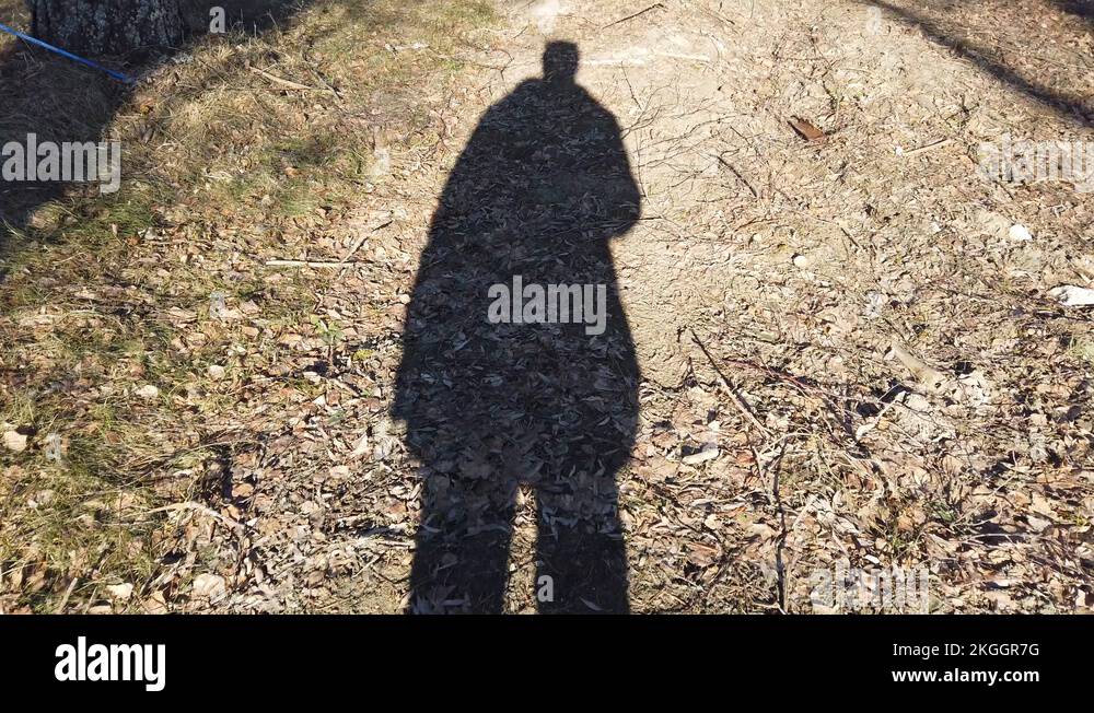 Shadow of anonymous man walking on nature Stock Video Footage - Alamy