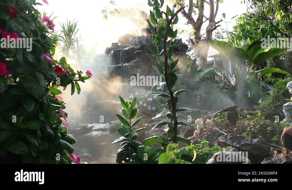 Green steam garden Stock Videos & Footage - HD and 4K Video Clips - Alamy