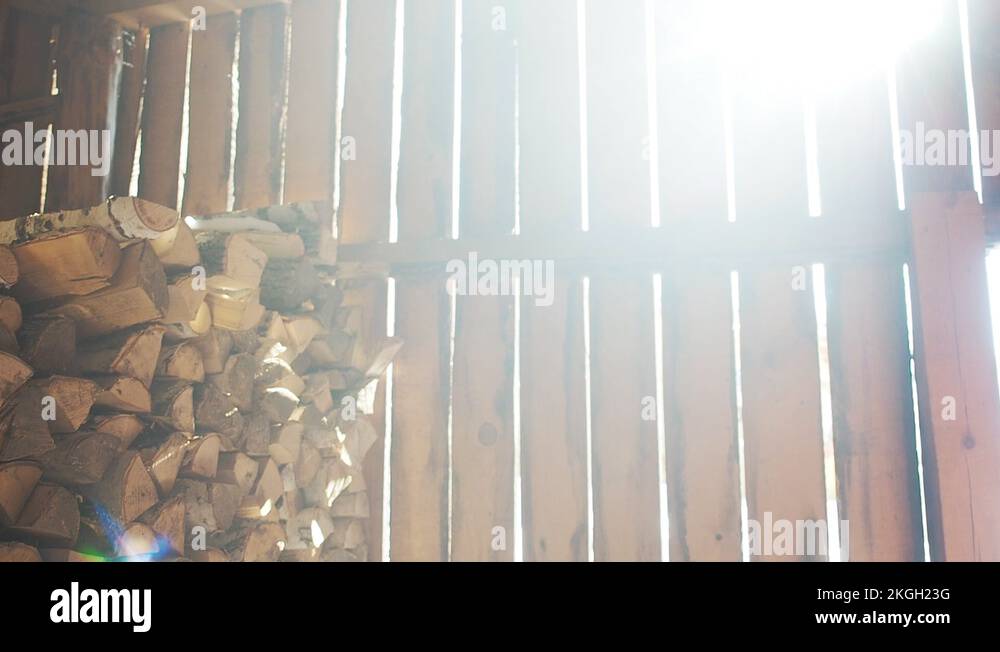 Man holding pile of chopped fire wood prepared for winter. Logs of fire ...