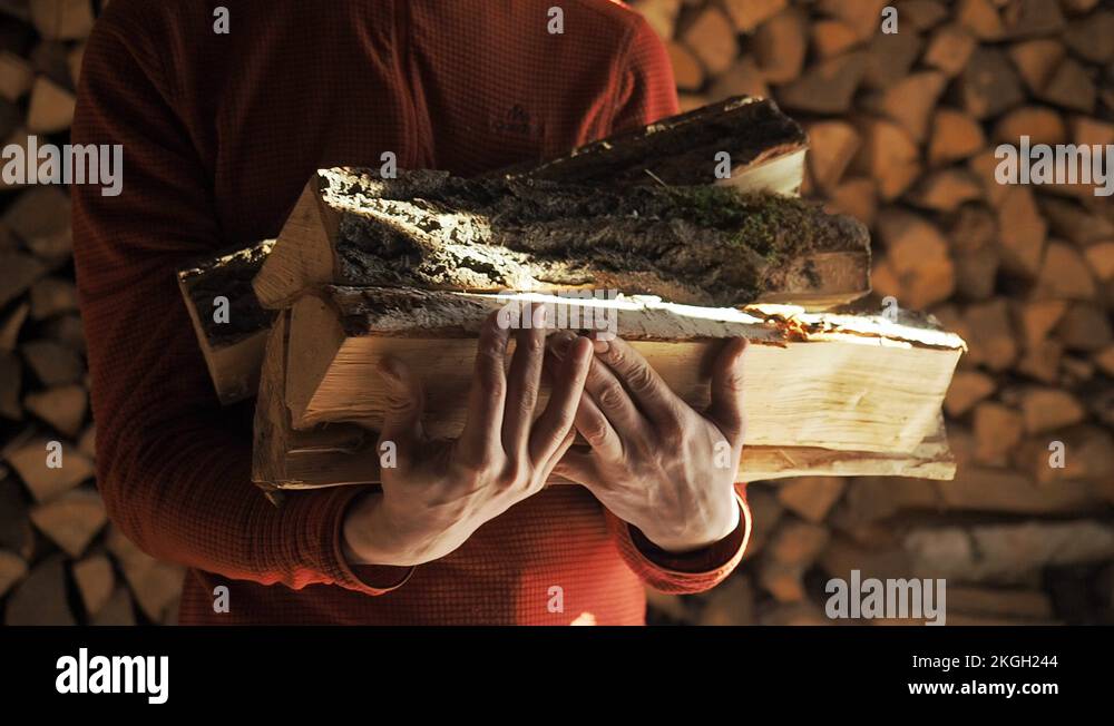 Man carrying firewood logs for heat in winter. Pile of chopped fire ...