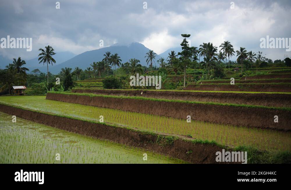 Island agriculture Stock Videos & Footage - HD and 4K Video Clips - Alamy
