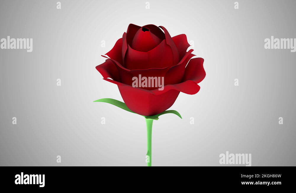 4K Loop Animation of Red Rose Rotation on gradient background Stock ...