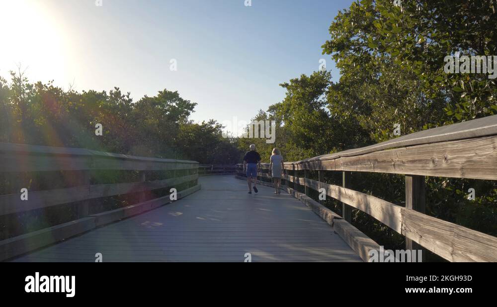 Walking path through nature Stock Videos & Footage - HD and 4K Video ...