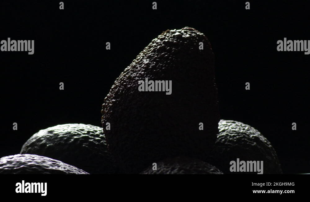 Hass avocado fruit gyrating with black background Stock Video Footage ...