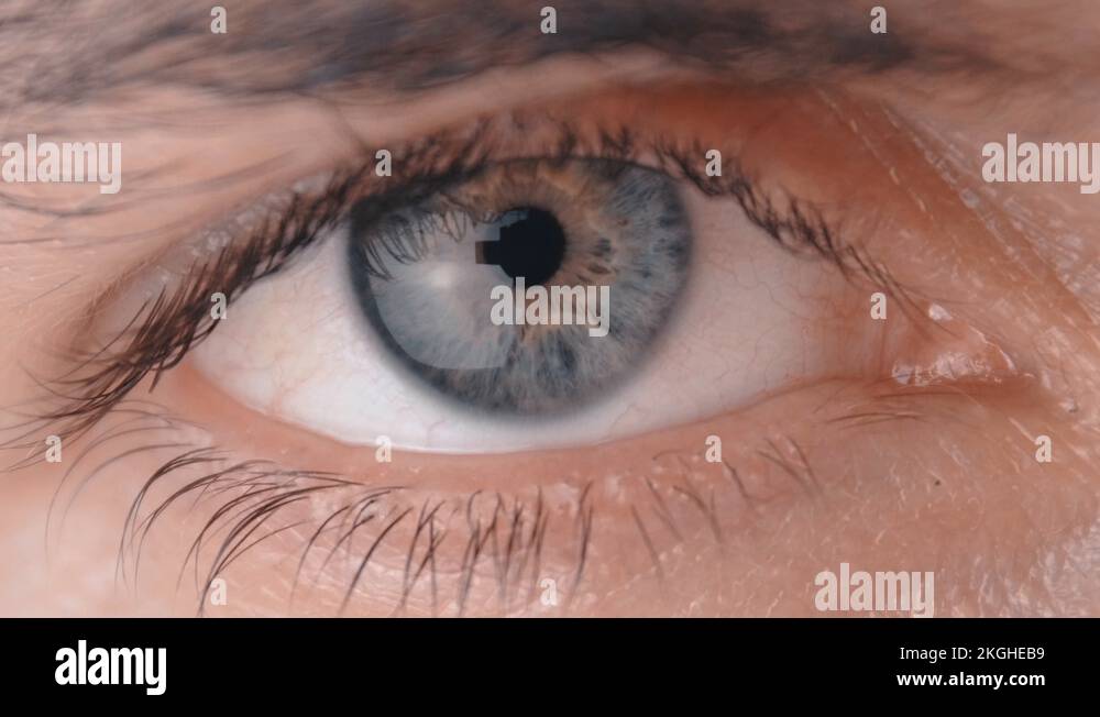 Macro Human Eye Scan Technology Interface. Futuristic surveillance ...
