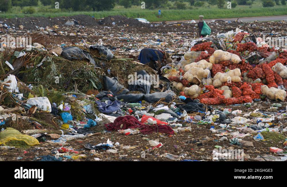 4K close-up view of poor people below the poverty line scavenging ...