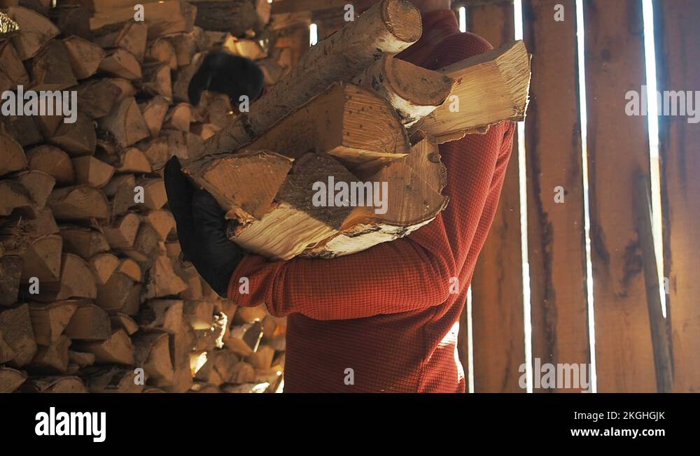 Man carrying firewood logs for heat in winter. Pile of chopped fire ...