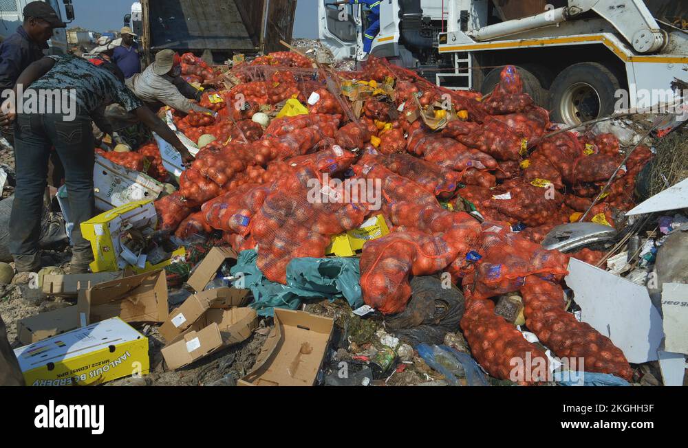 Scavenging poverty Stock Videos & Footage - HD and 4K Video Clips - Alamy