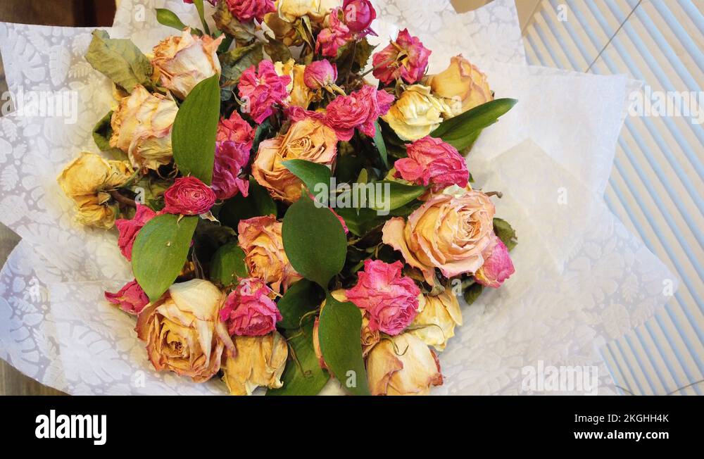 Dead drooping vase Stock Videos & Footage - HD and 4K Video Clips - Alamy