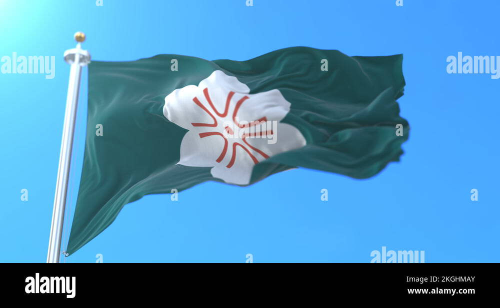 Saga prefecture flag Stock Videos & Footage - HD and 4K Video Clips - Alamy
