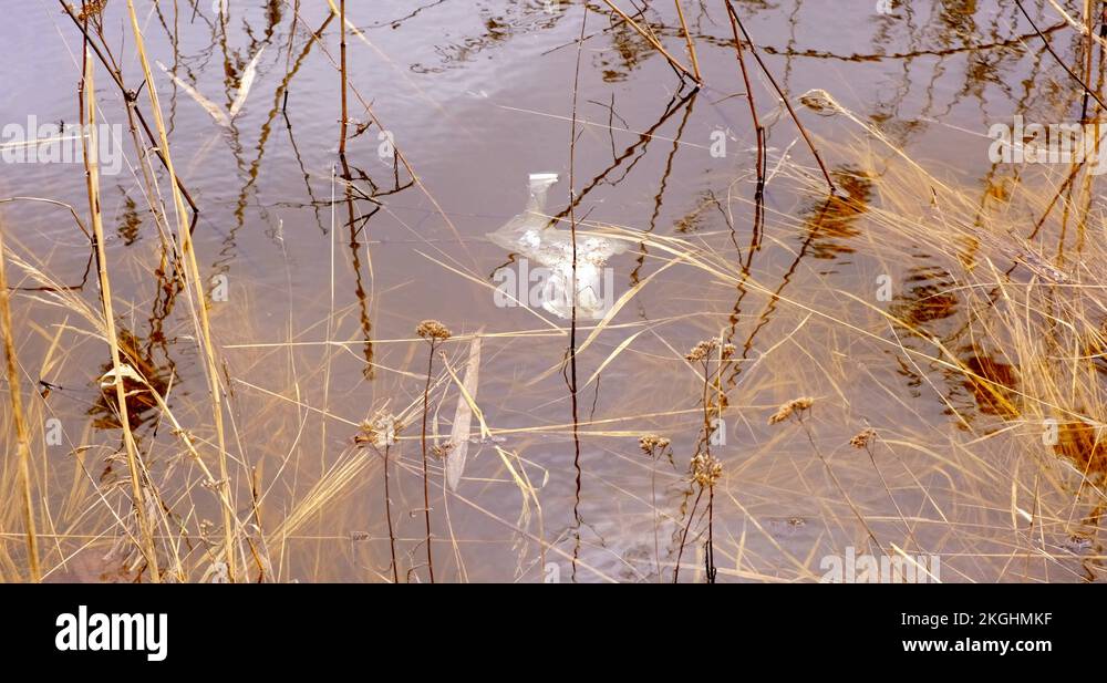 Plastic pollution landscape Stock Videos & Footage - HD and 4K Video ...