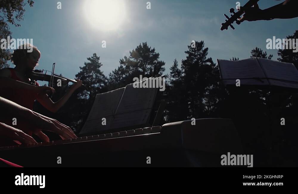 Musical instruments Stock Videos & Footage - HD and 4K Video Clips - Alamy