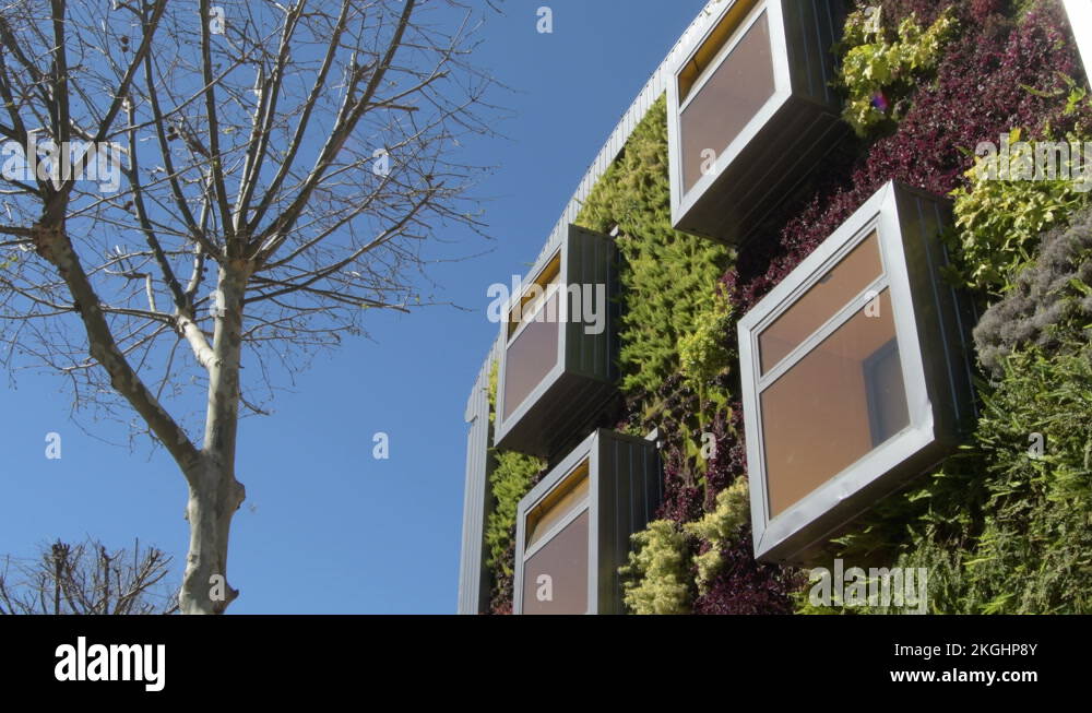 Facade vegetation Stock Videos & Footage - HD and 4K Video Clips - Alamy