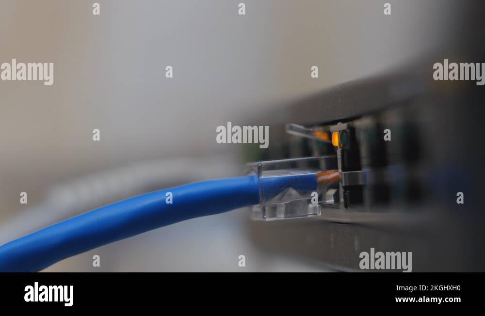 Male Hand Take Out Blue Data Cable From The Gigabit Network Switch ...