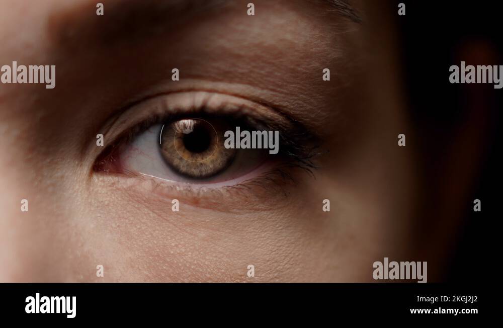 Dot eye Stock Videos & Footage - HD and 4K Video Clips - Alamy