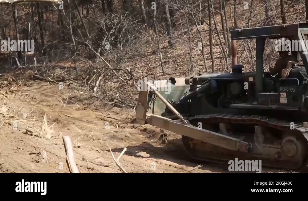 Dead trunks Stock Videos & Footage - HD and 4K Video Clips - Alamy