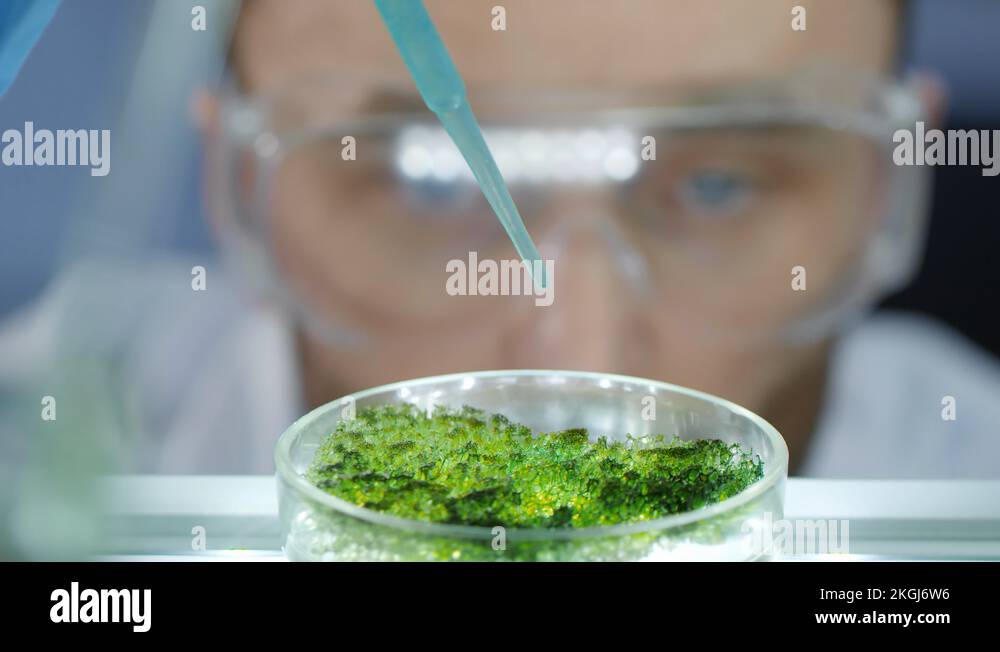 Scientist experiment chemical reaction Stock Videos & Footage - HD and ...