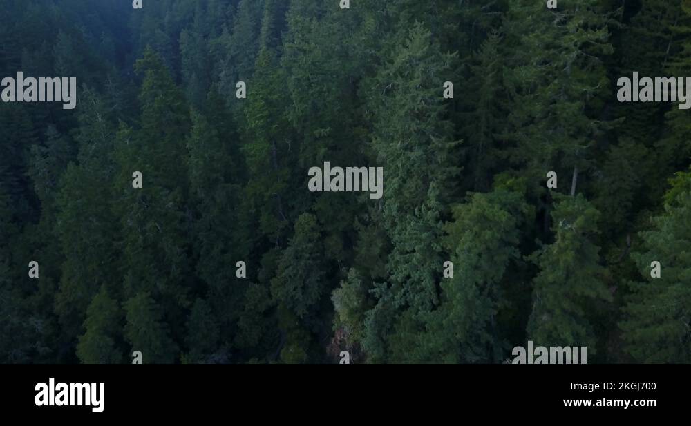 Crisp morning sun Stock Videos & Footage - HD and 4K Video Clips - Alamy