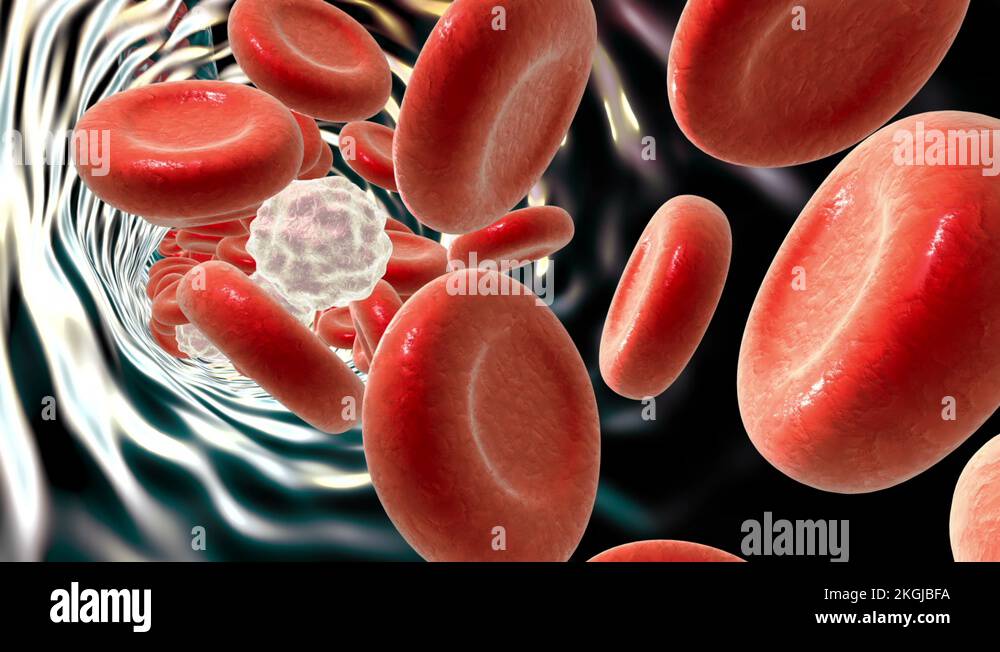 Blood flow animation Stock Video Footage - Alamy