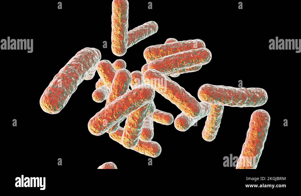 Pseudomonas bacteria Stock Videos & Footage - HD and 4K Video Clips - Alamy