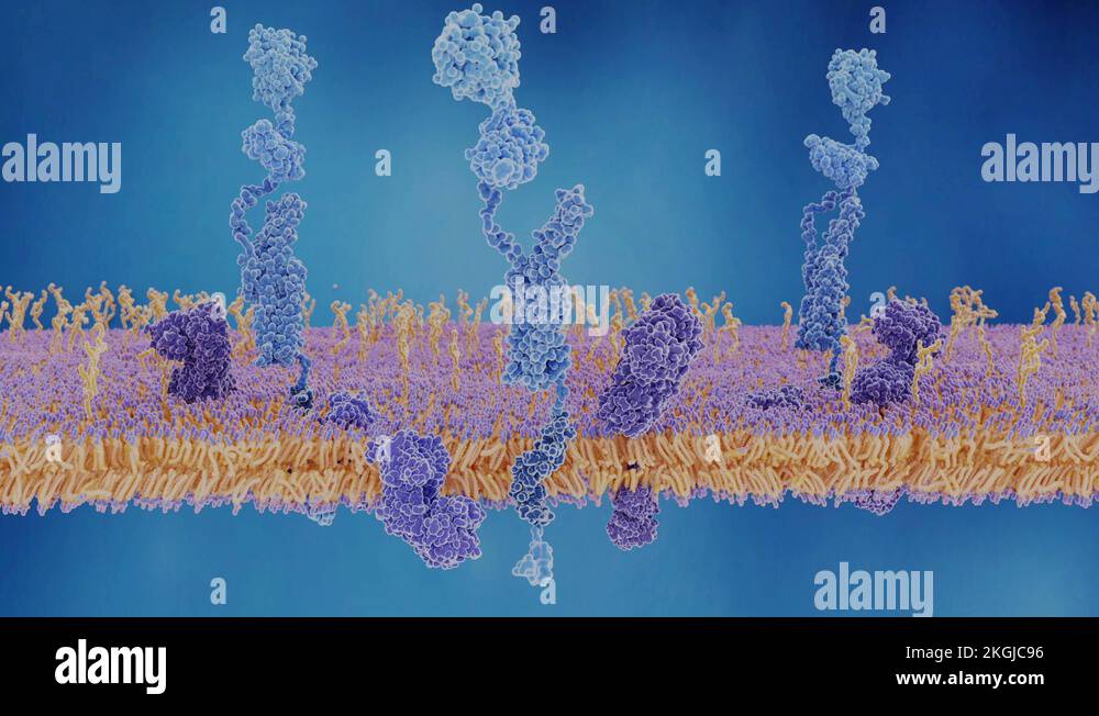 Protein molecule artwork Stock Videos & Footage - HD and 4K Video Clips ...