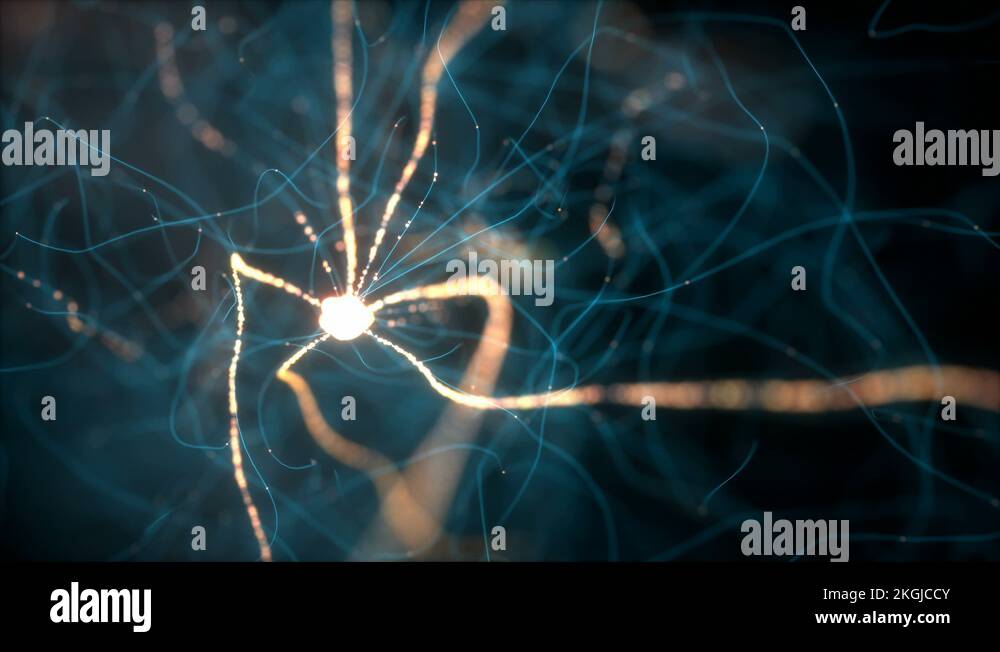 Relay neuron Stock Videos & Footage - HD and 4K Video Clips - Alamy