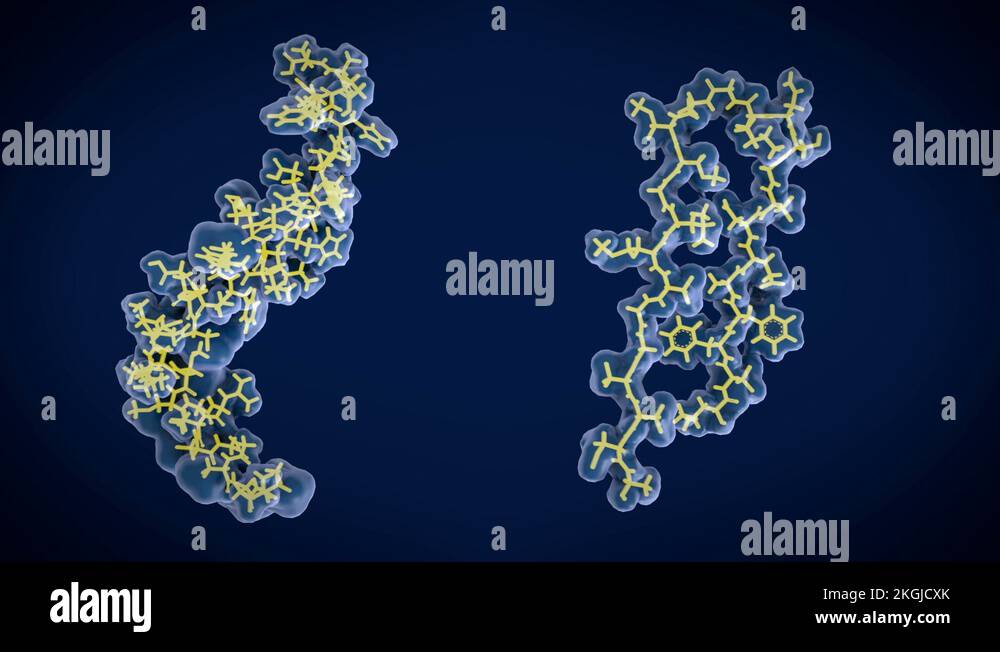 Amyloid precursor protein and amyloid beta, molecular models Stock ...