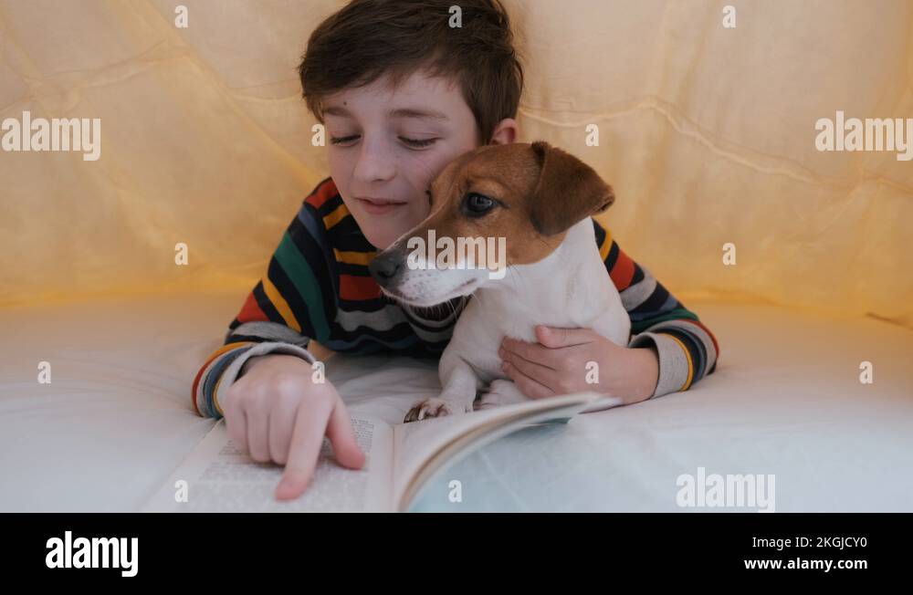 Jack reading Stock Videos & Footage - HD and 4K Video Clips - Alamy