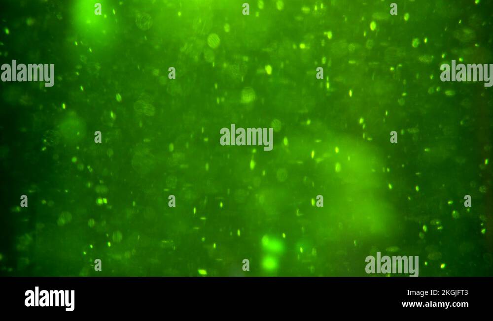Water bacteria Stock Videos & Footage - HD and 4K Video Clips - Alamy