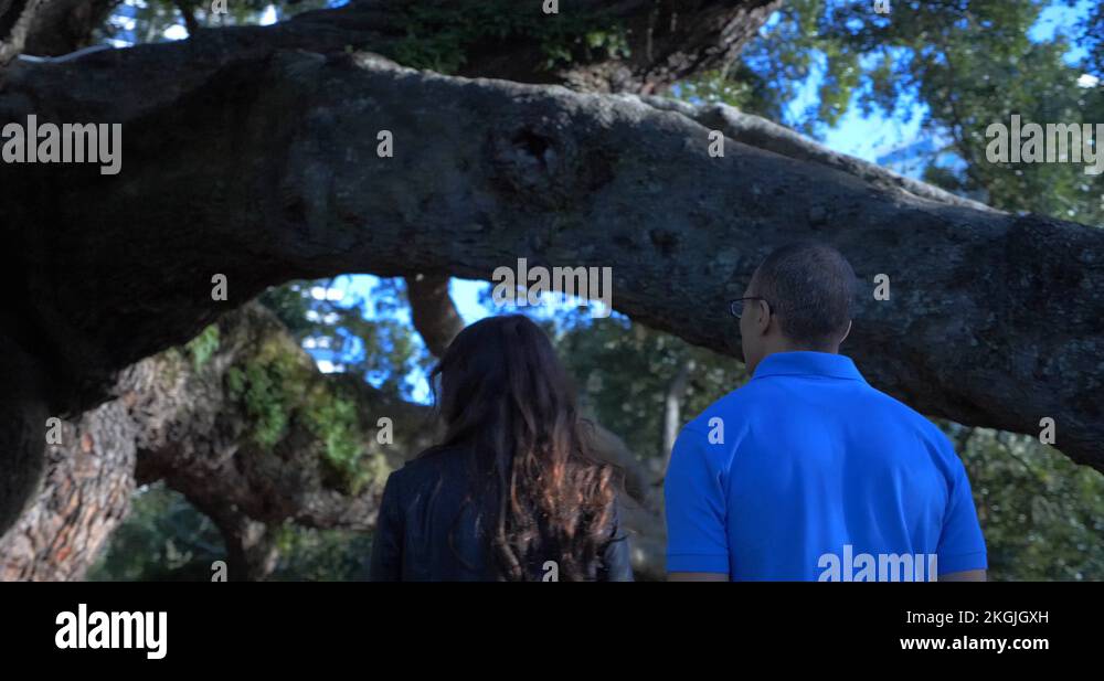 Treaty oak tree Stock Videos & Footage - HD and 4K Video Clips - Alamy