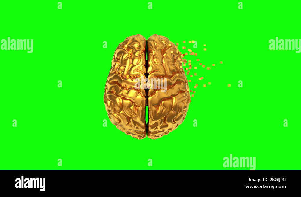 4K. Disintegration Of Golden Brain On Green Screen Stock Video Footage ...