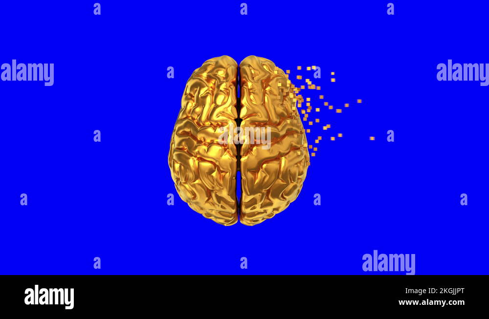 4K. Disintegration Of Golden Brain On Blue Screen. 3D Animation Stock ...