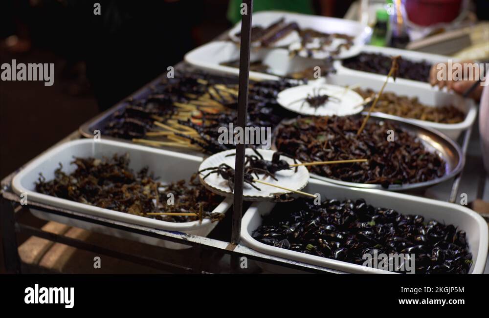 Fried black bugs, cockroaches, scorpions, spiders and flies in Bangkok ...