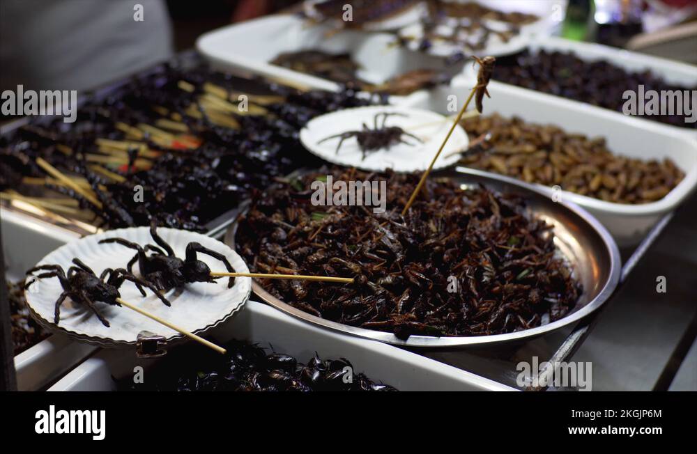Spiders of thailand Stock Videos & Footage - HD and 4K Video Clips - Alamy