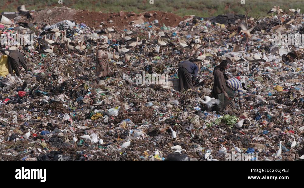 4K close-up view of poor people below the poverty line scavenging or ...